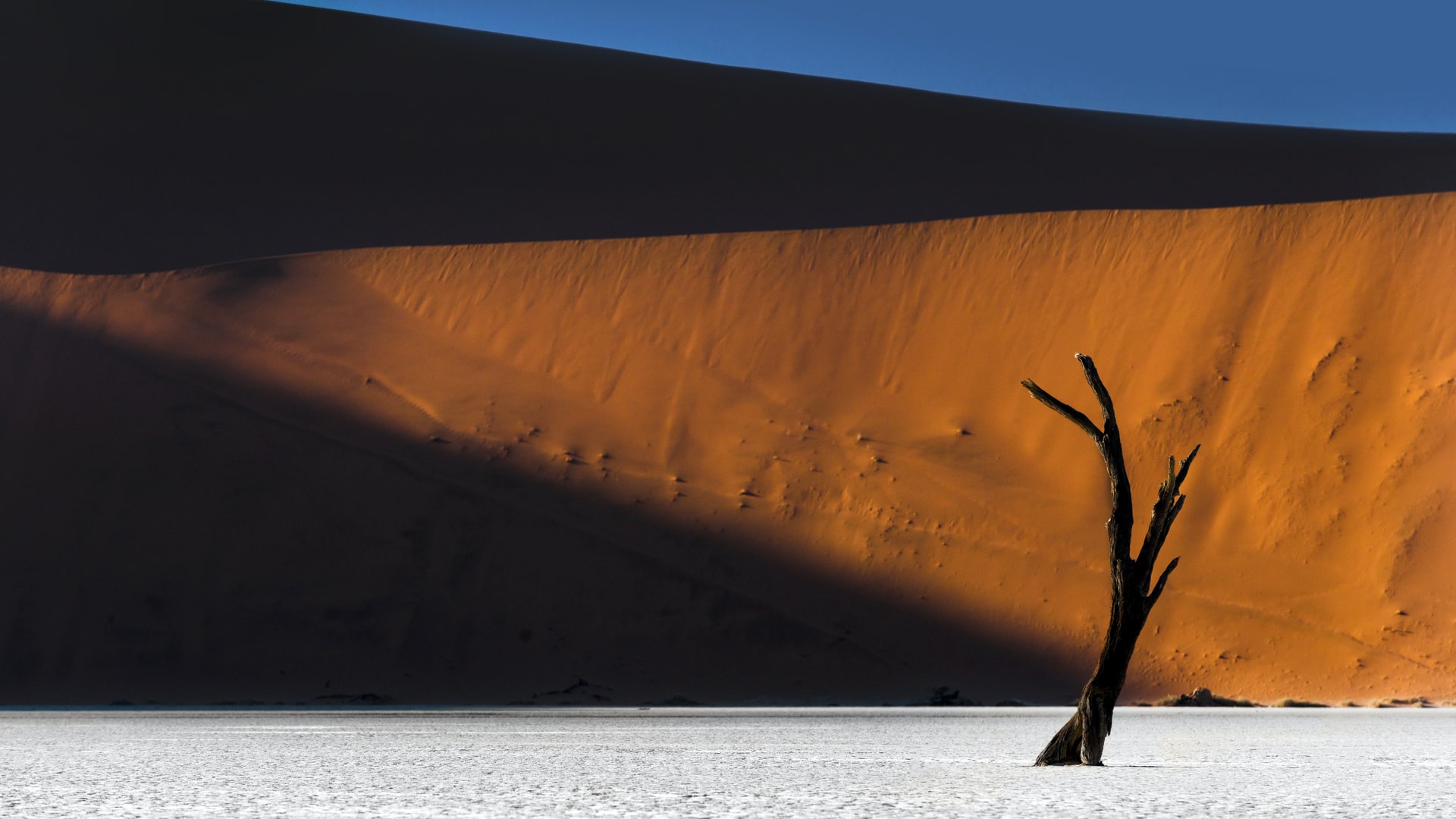 DAFT-GAN: Dual Affine Transformation Generative Adversarial Network for Text-Guided Image Inpainting